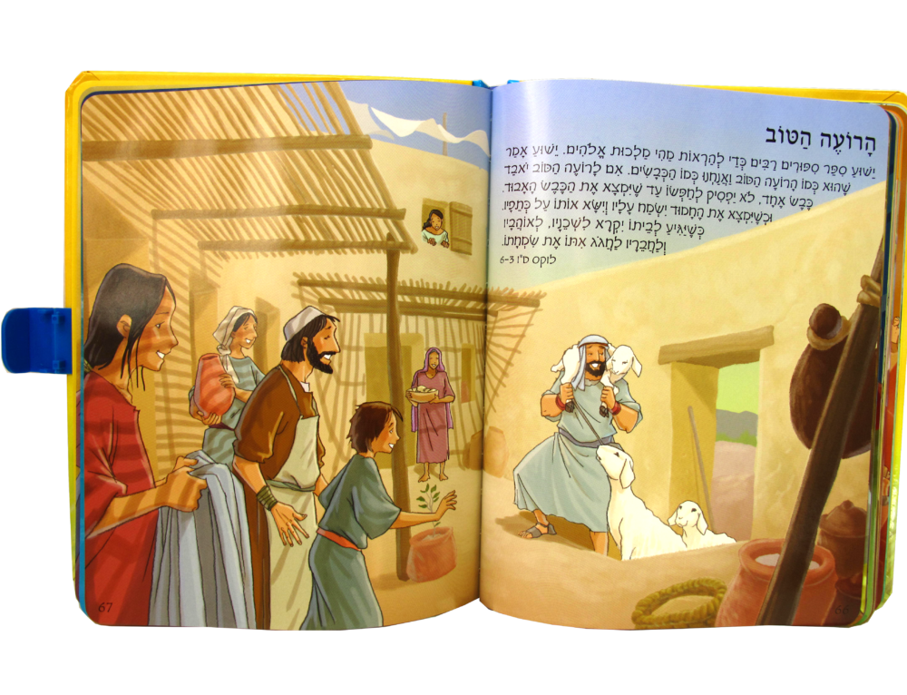 Torah Scroll Display - Bible Society in Israel