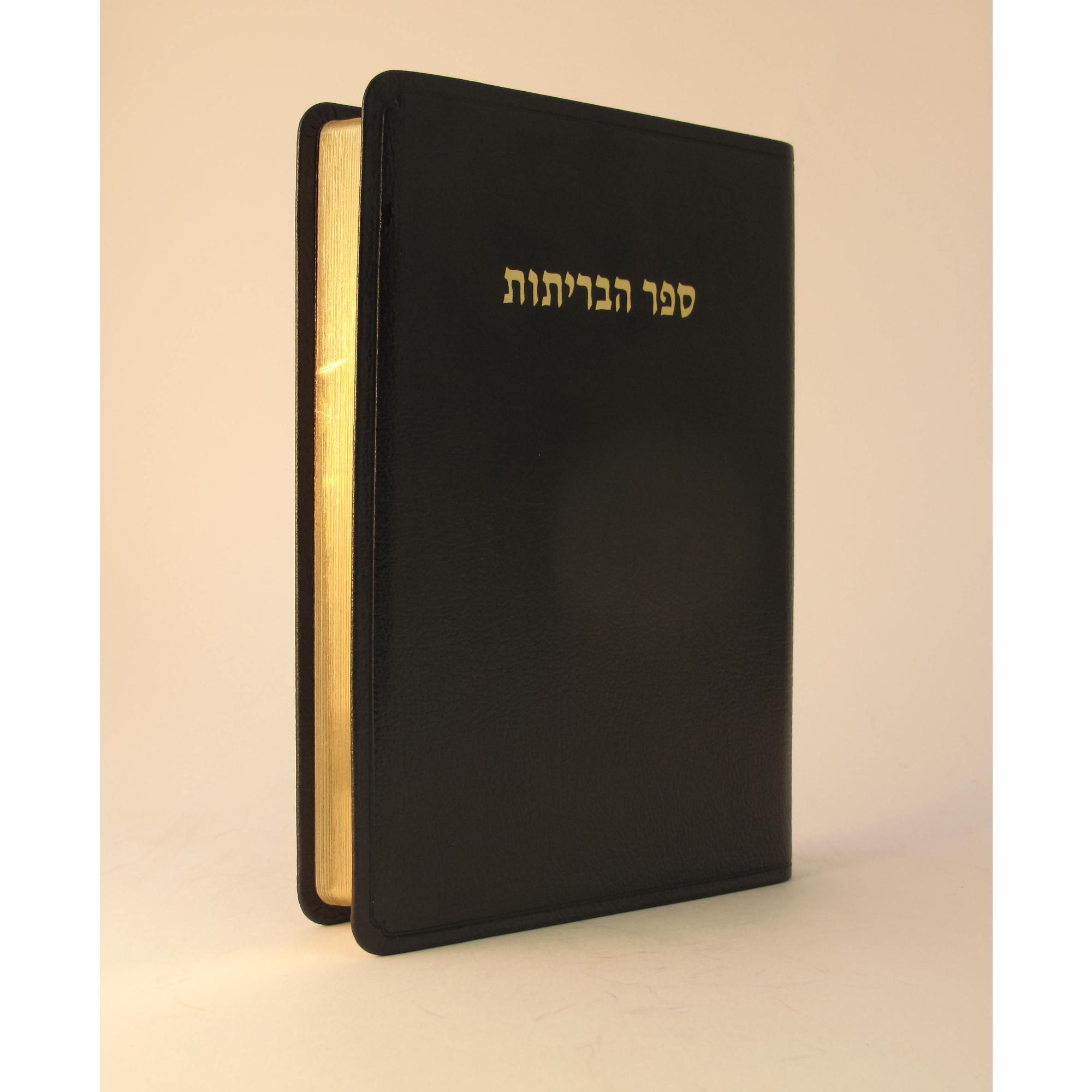 Hebrew Cross-Reference Bible - Hard Cover/Leather - Bible Society in Israel