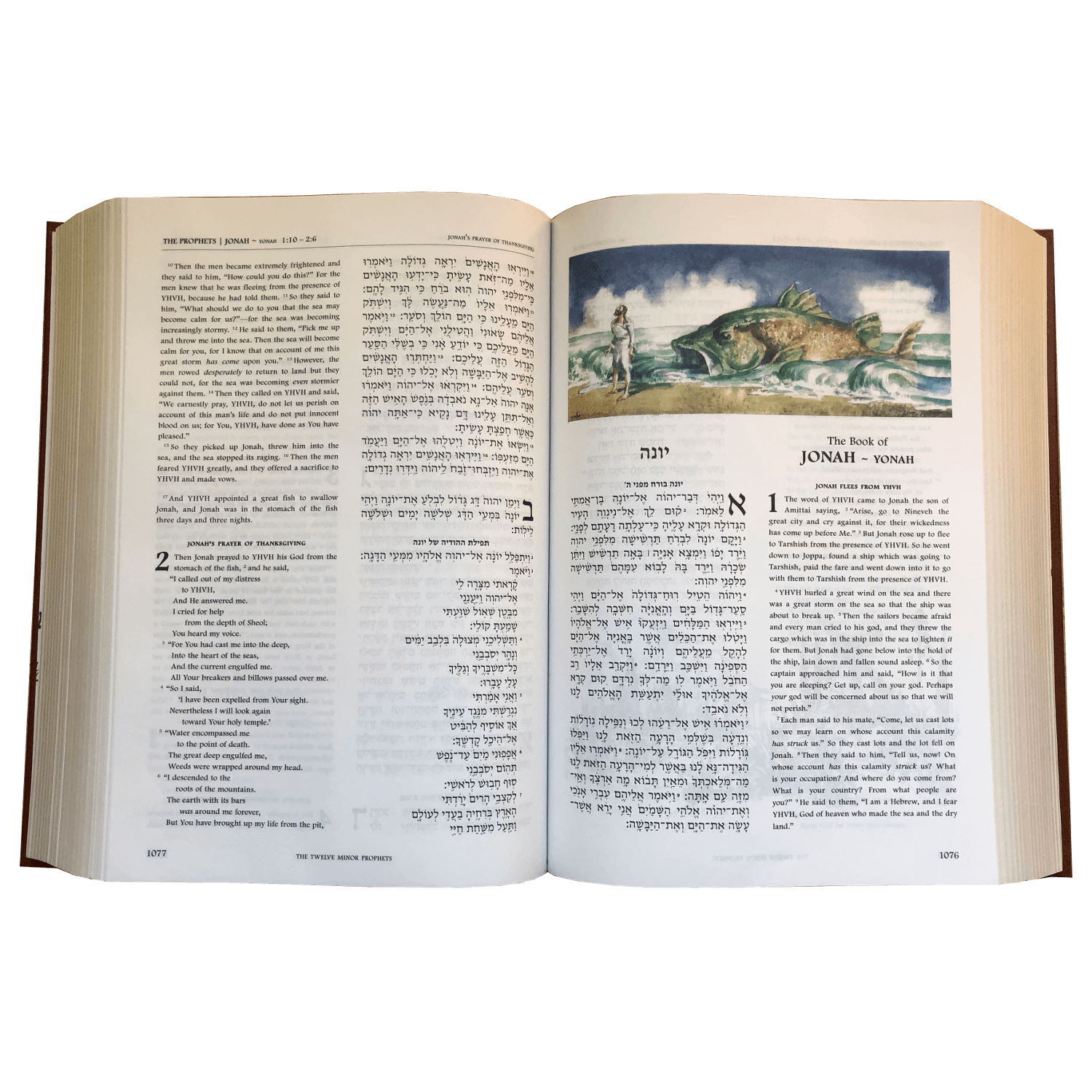 The Illustrated Hebrew & English Jerusalem Family Bible - Bible Society ...