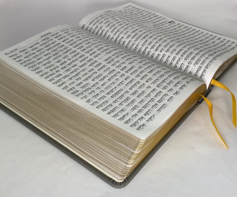 Hebrew Full Bible Large Print-Hard Leather Cover - Bible Society in Israel